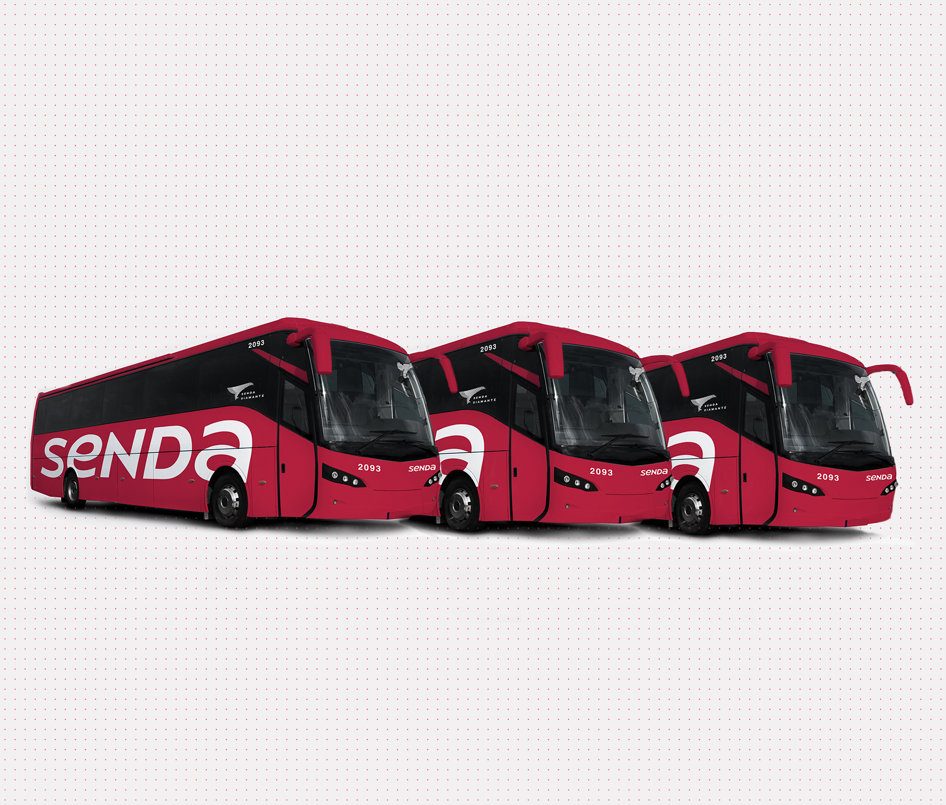 Grupo Senda | Rediseño de Líneas de Autobuses| Brands&People